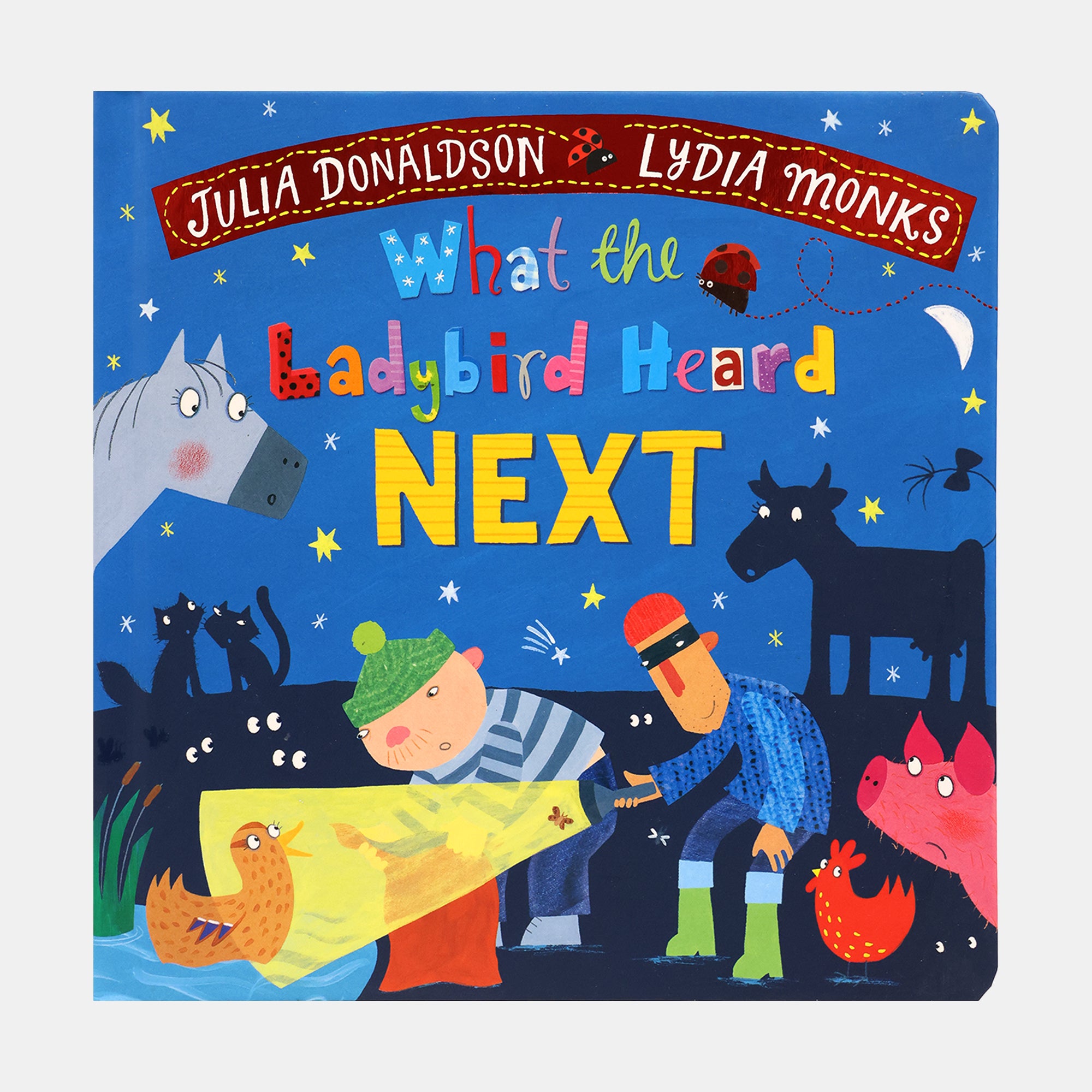 What The Ladybird Heard Next – BORDERS